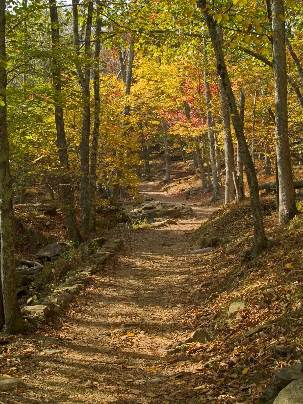 George Collins Skidd, Jr. - Georgia Cremation